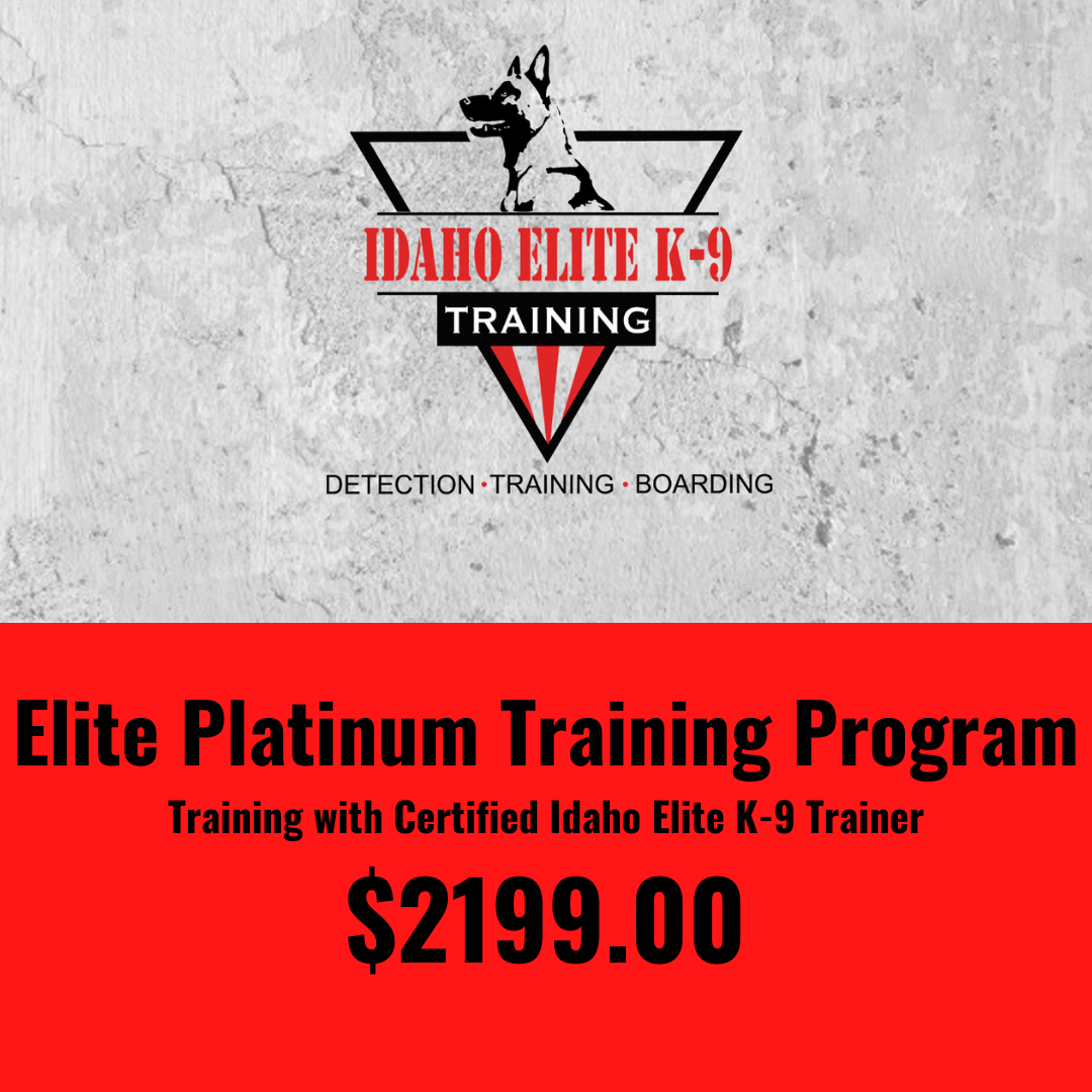 Elite Platinum Training Program With A Certified Idaho Elite K-9 Train
