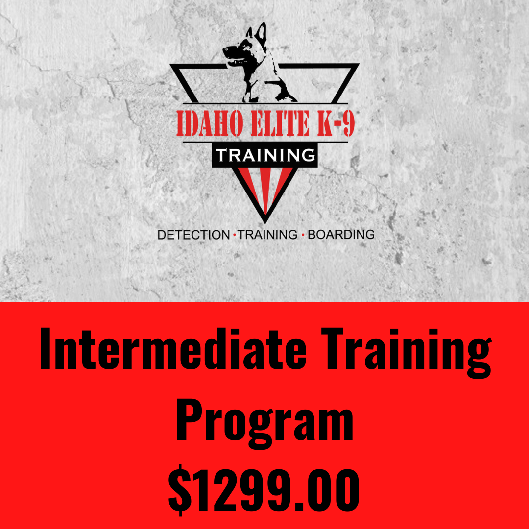 Intermediate Training Program – Idaho Elite K-9